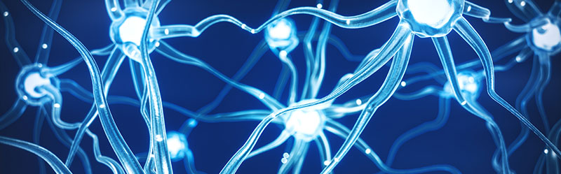 Electrical Muscle Stimulation | Align Spine Health Center, LLC